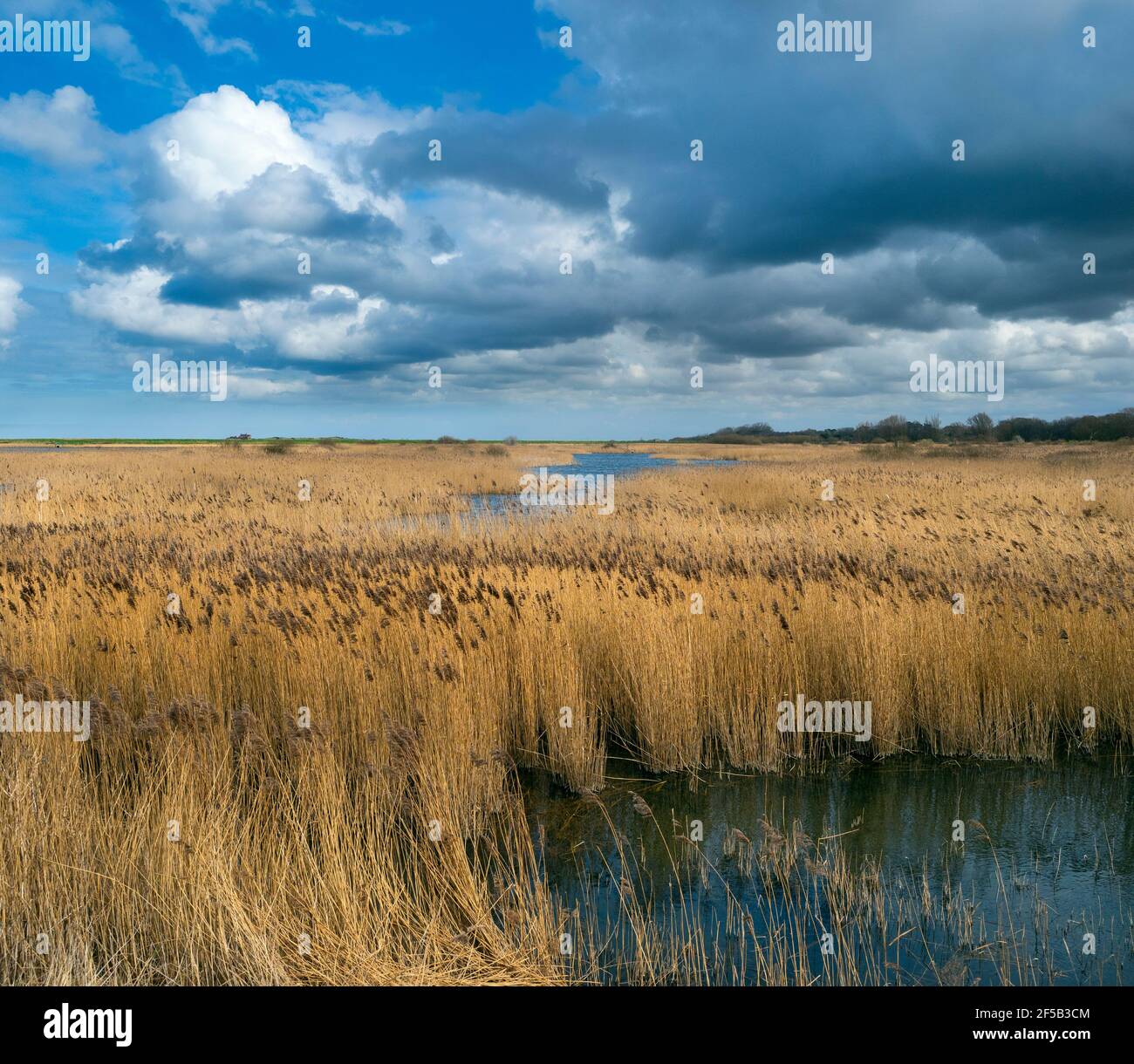 The RSPB Nature reserve and beach at Titchwell Marsh Norfolk Stock ...