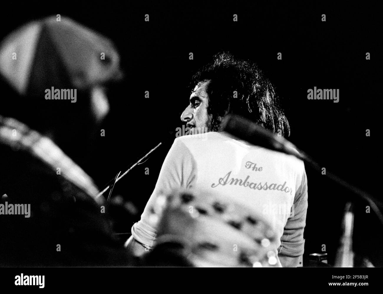 Steely Dan 1974 High Resolution Stock Photography and Images - Alamy