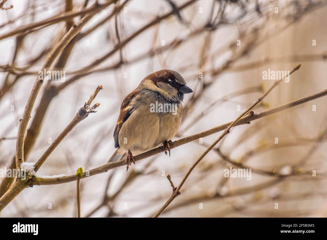 Birdwatching In Nature High Resolution Stock Photography and Images - Alamy