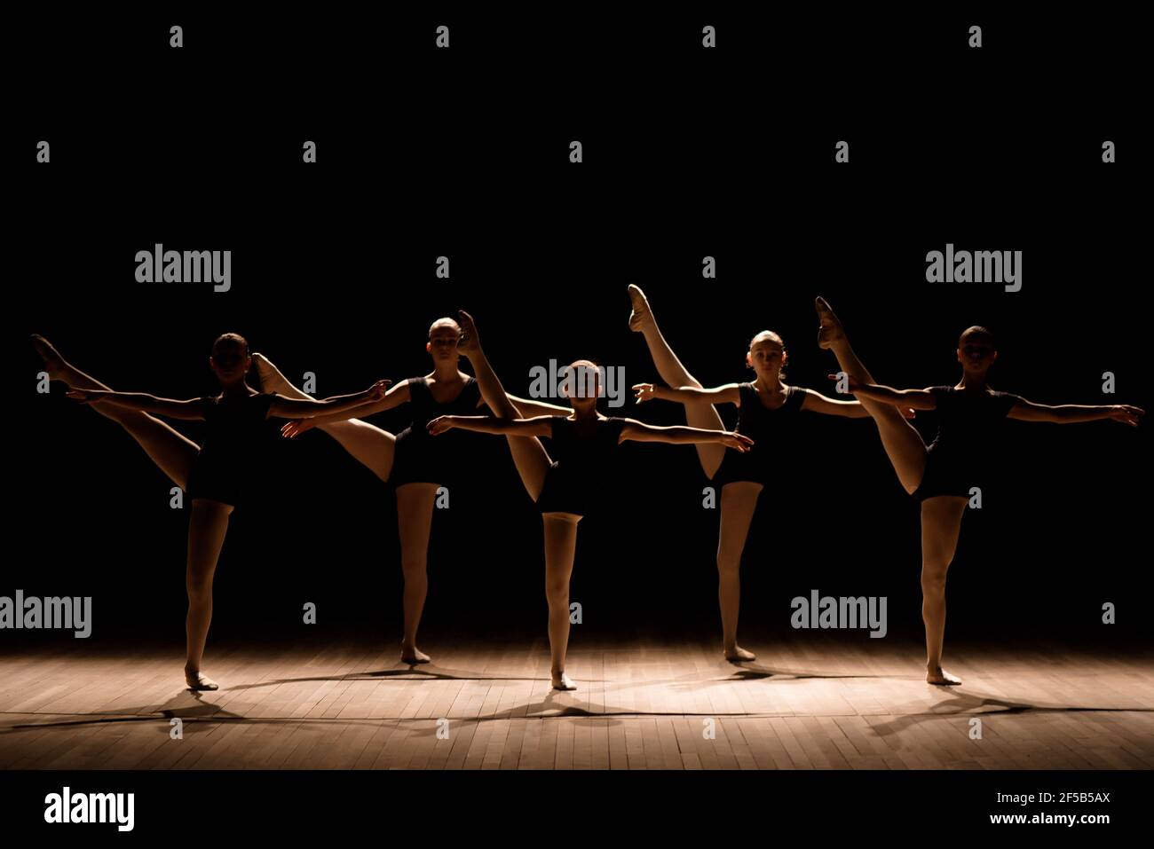 A choreographed dance of a group of graceful pretty young ballerinas ...