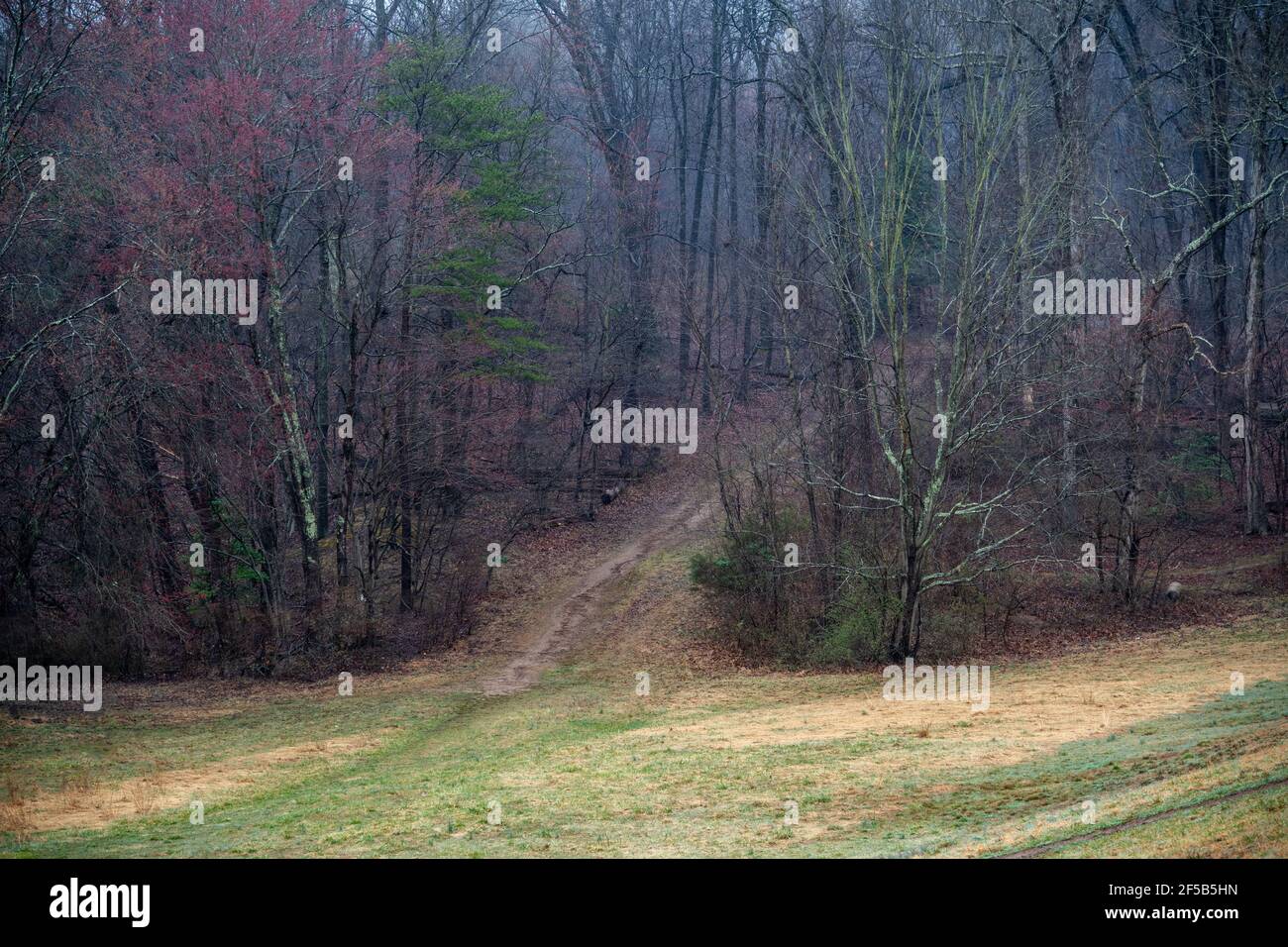 Signs of Spring begin to show in a landscape photo taken in Lake ...