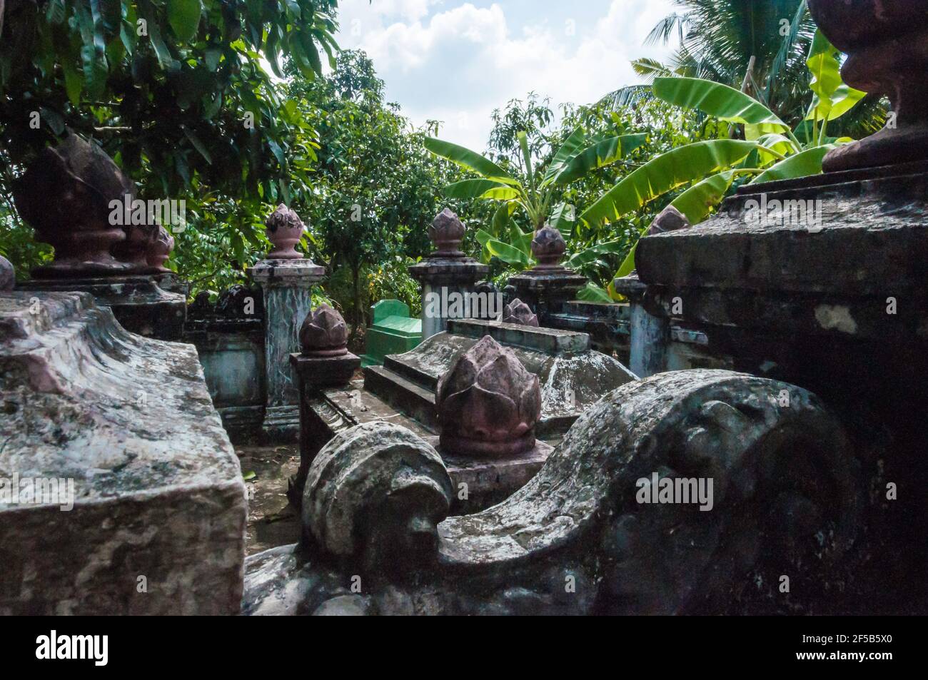 Surro hi-res stock photography and images - Alamy