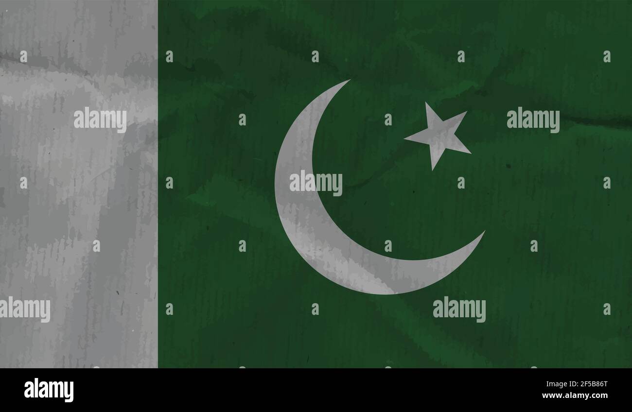 Pakistan national flag created in grunge style Stock Vector Image & Art ...