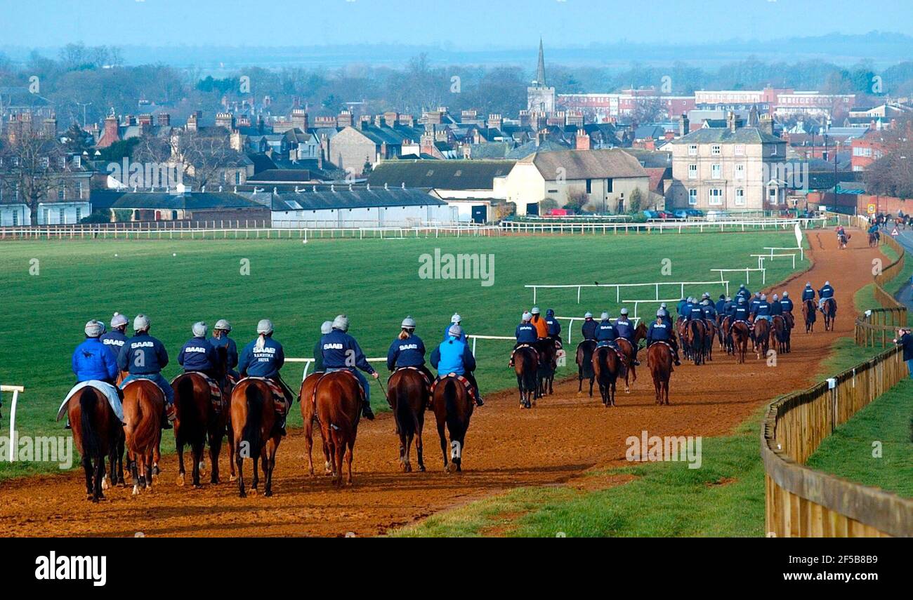 Warren hill, newmarket hi-res stock photography and images - Alamy