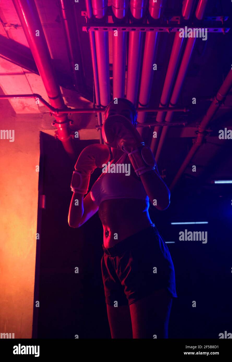 Beautiful female boxer training, red boxing gloves, ring with red and ...