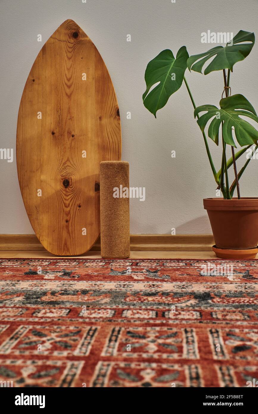 Wooden balance board and a monstera plant in the living room Stock ...