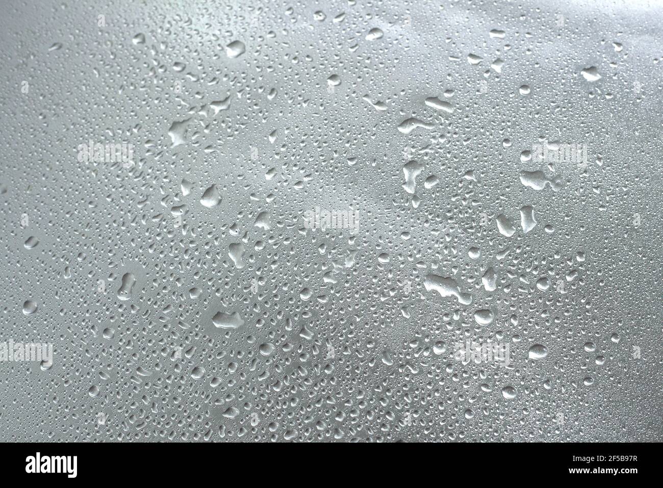 water drops on a gray metal background. Wet background for the design ...