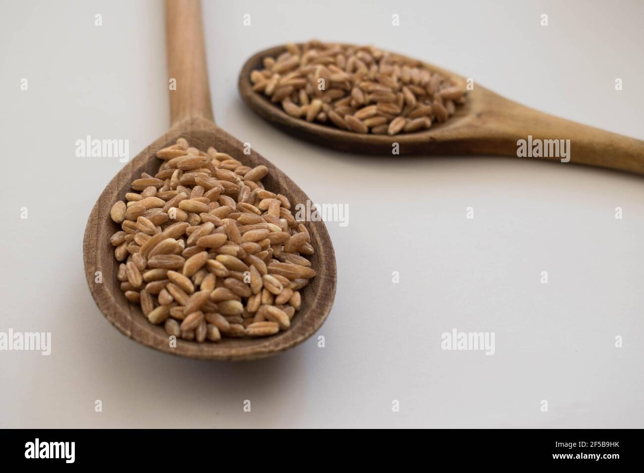 Wheat grains in two wooden spoons isolated on white background Stock ...