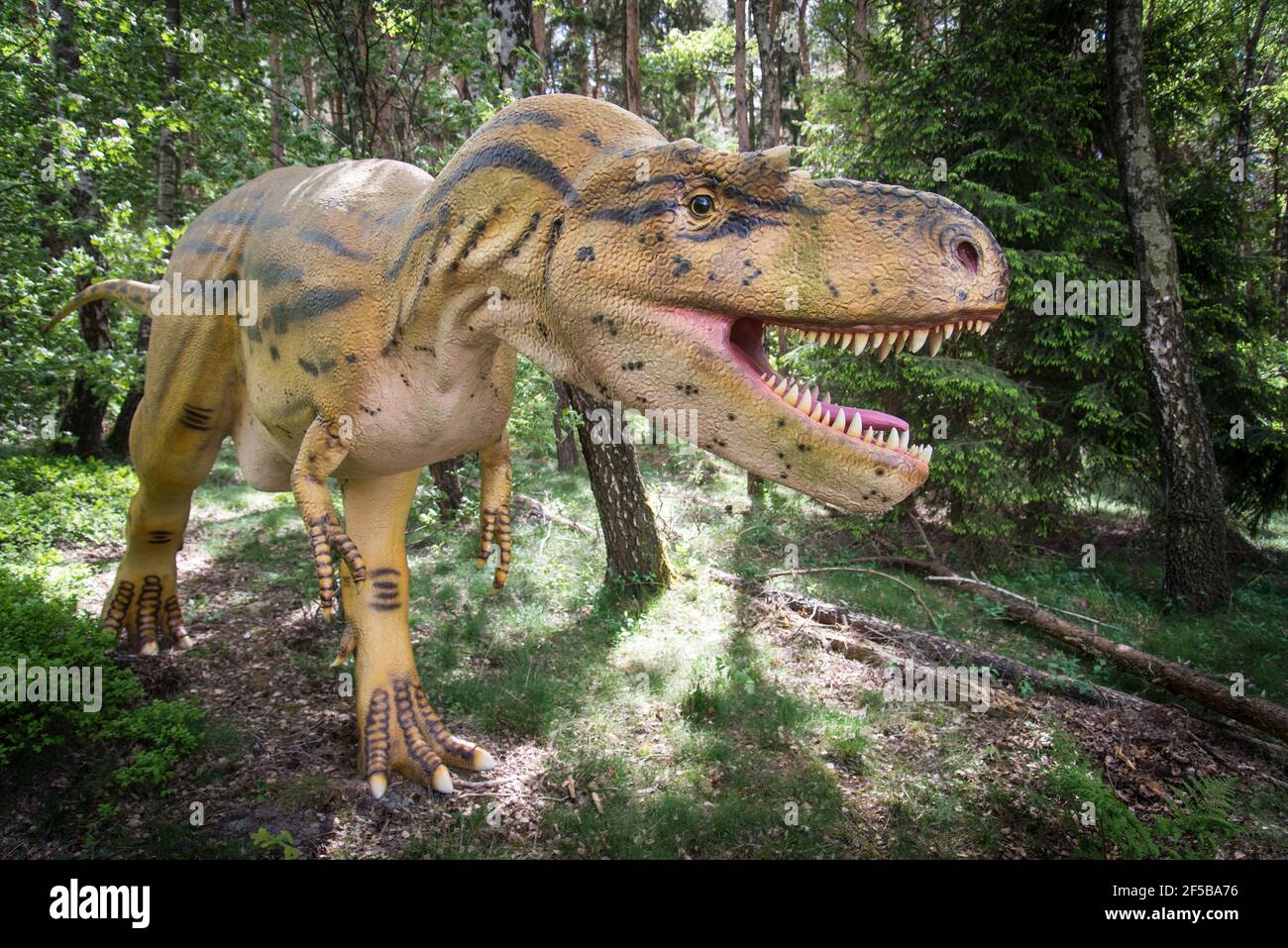 A dangerous hunter in the woods: Lifesize model of a Edmontosaurus ...