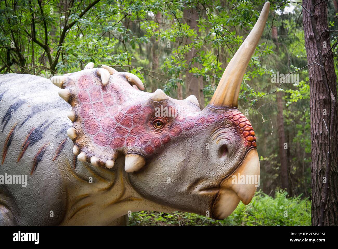 Centrosaurus High Resolution Stock Photography and Images - Alamy