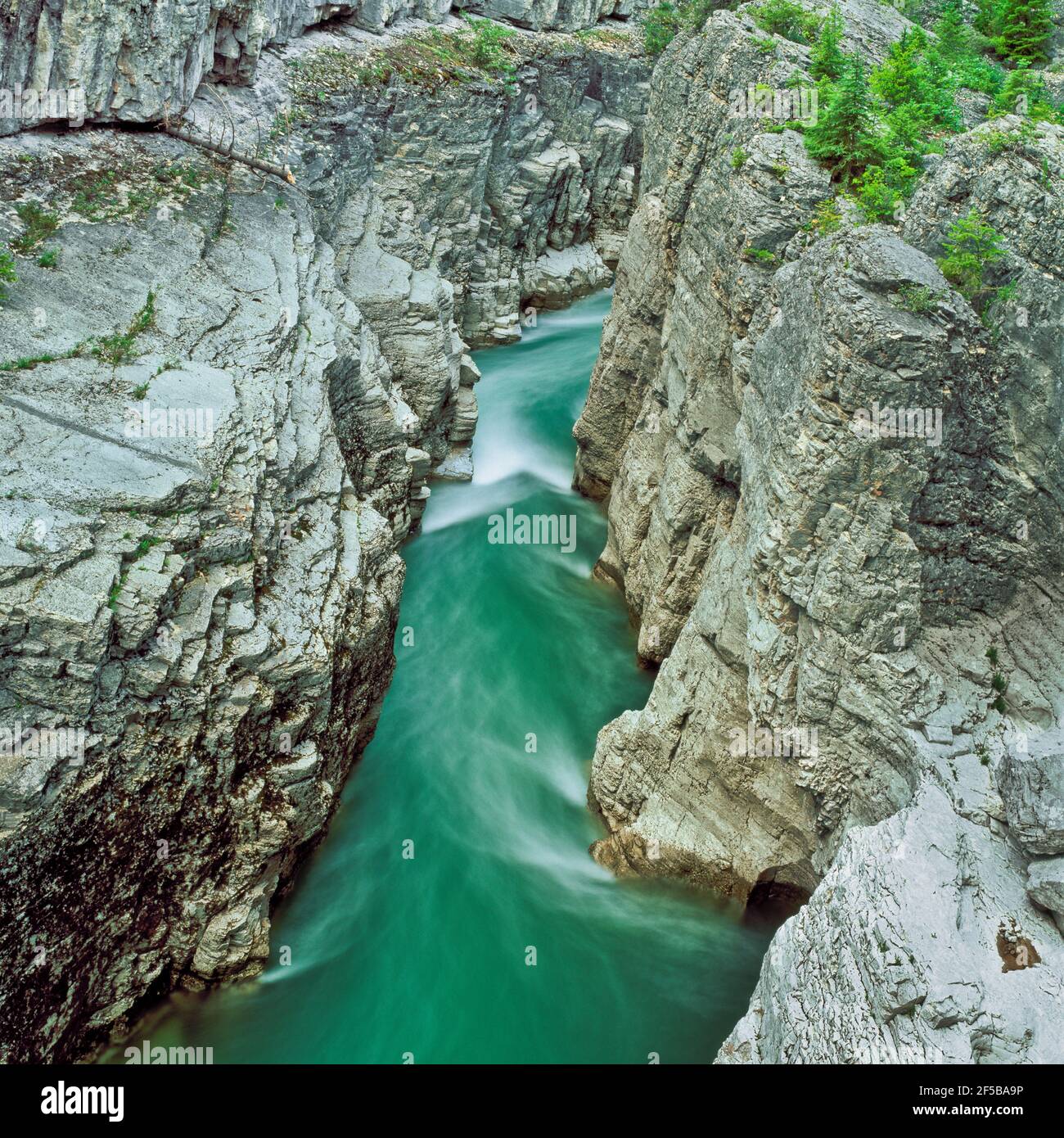 south fork flathead river in a narrow gorge at meadow creek above ...