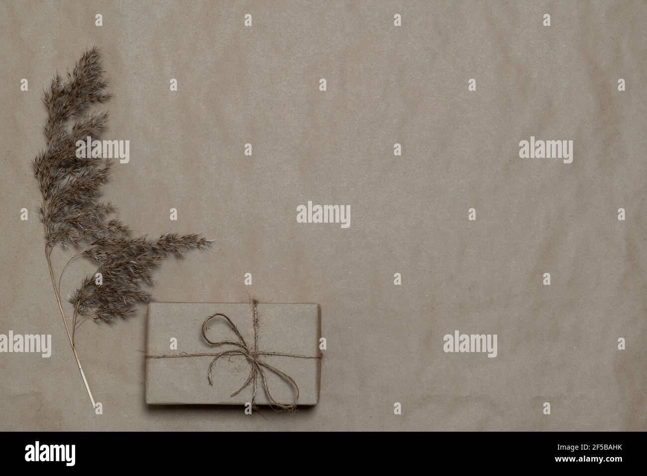 Soft pastel craft paper gift box with eucalyptus branches on white ...