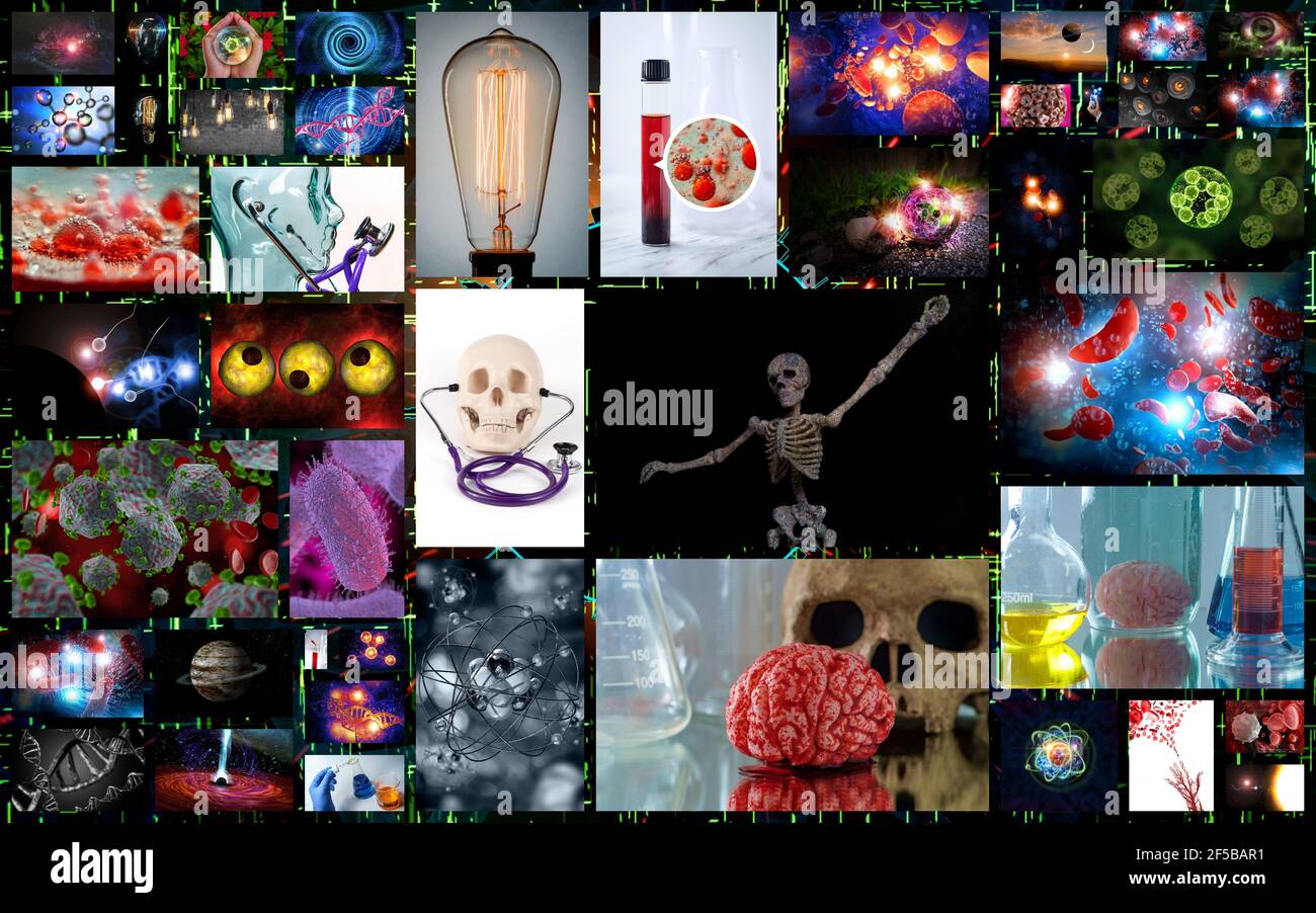 Gigantic science education collage featuring chemistry biology and ...