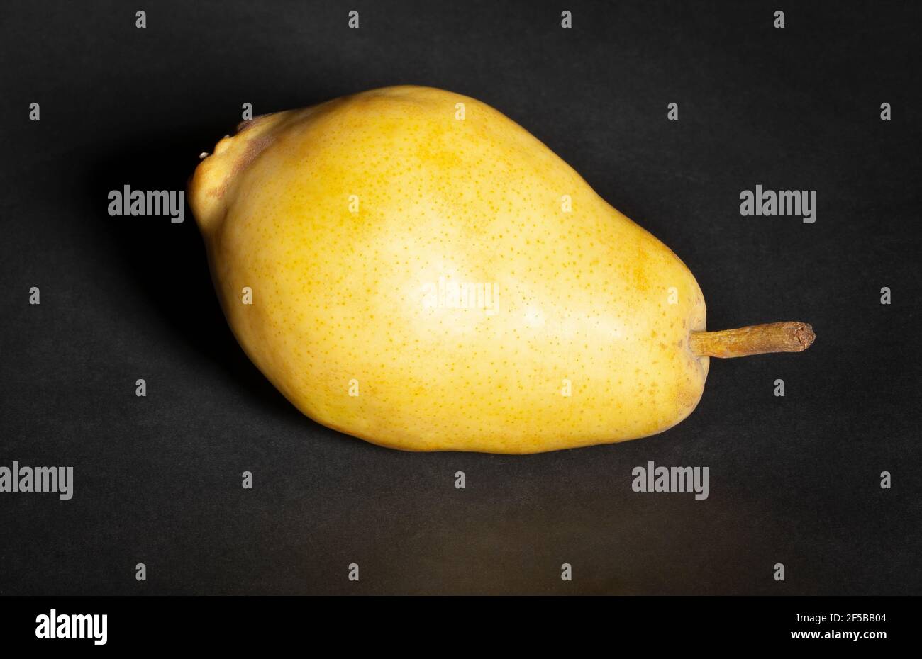 Black duchess hi-res stock photography and images - Alamy