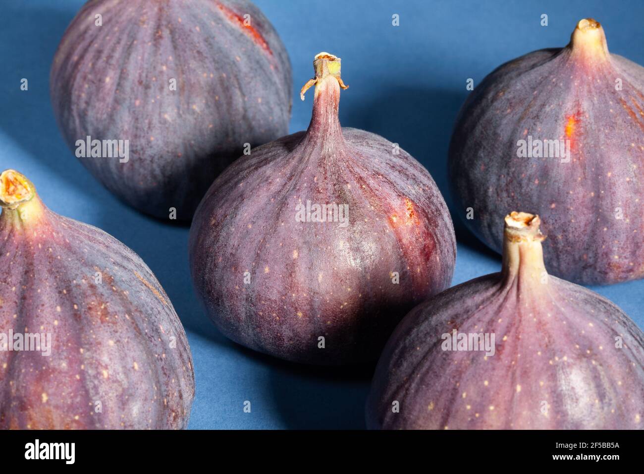 figs group on blue background Stock Photo - Alamy