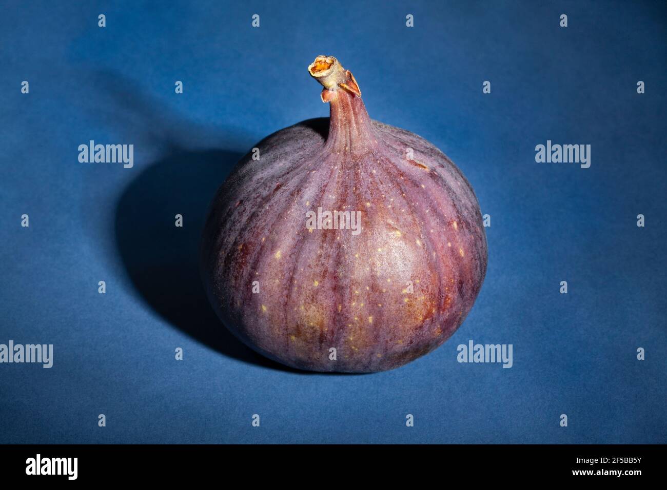 Blue background fruit hi-res stock photography and images - Alamy