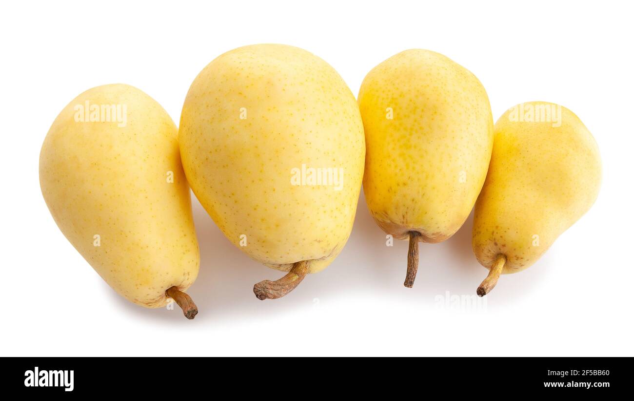duchess pear path isolated on white Stock Photo - Alamy