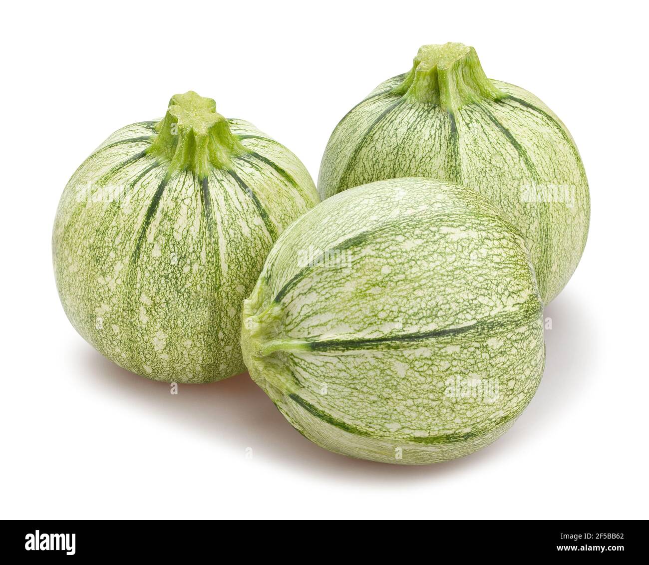 Vegetable marrow white squash hi-res stock photography and images - Alamy