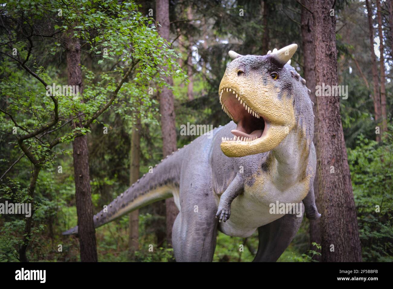 A dangerous hunter in the woods: Lifesize model of a Carnotaurus Stock ...