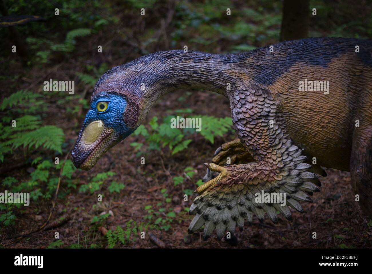 Eye to eye with dinosaurs: Lifesize model of a Troodon Stock Photo - Alamy
