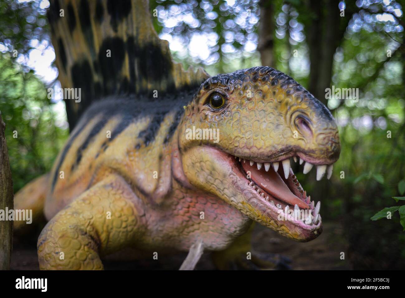 Dinosaur dinosaurs dino dimetrodon hi-res stock photography and images ...