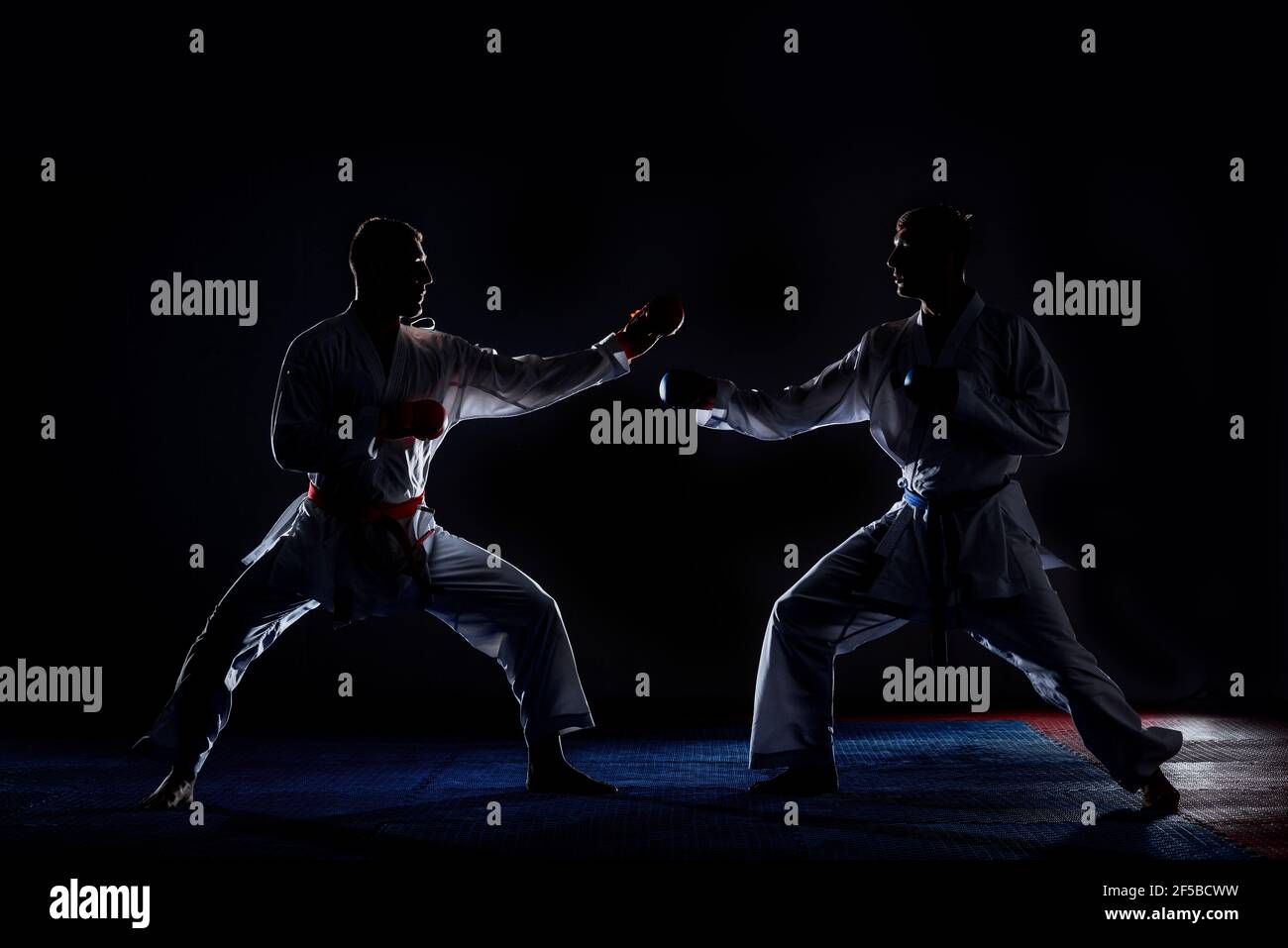 Male karate fighters performing kick isolated on dark background in the ...