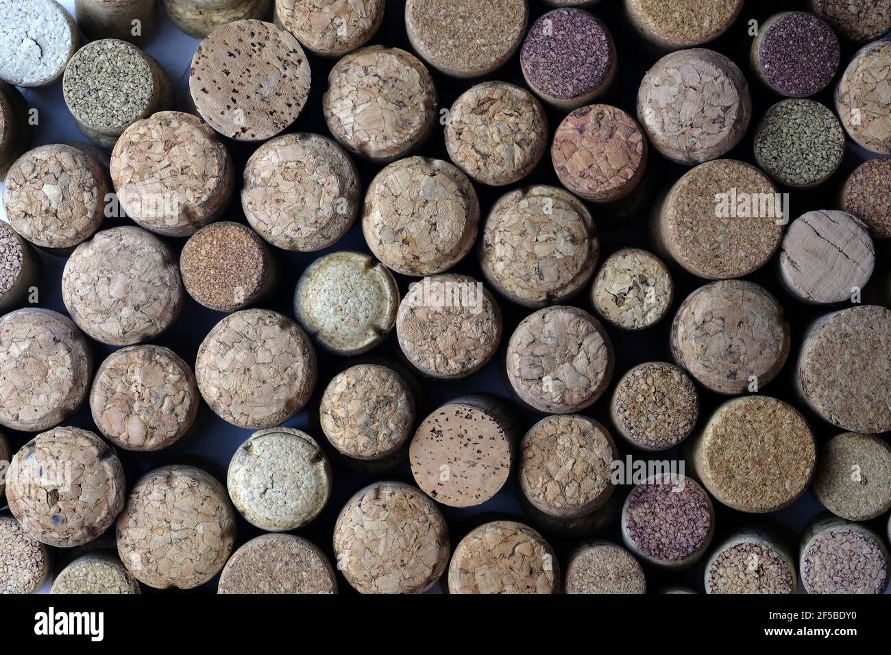 Natural cork from wine top view. Micro corks for wine and champagne ...