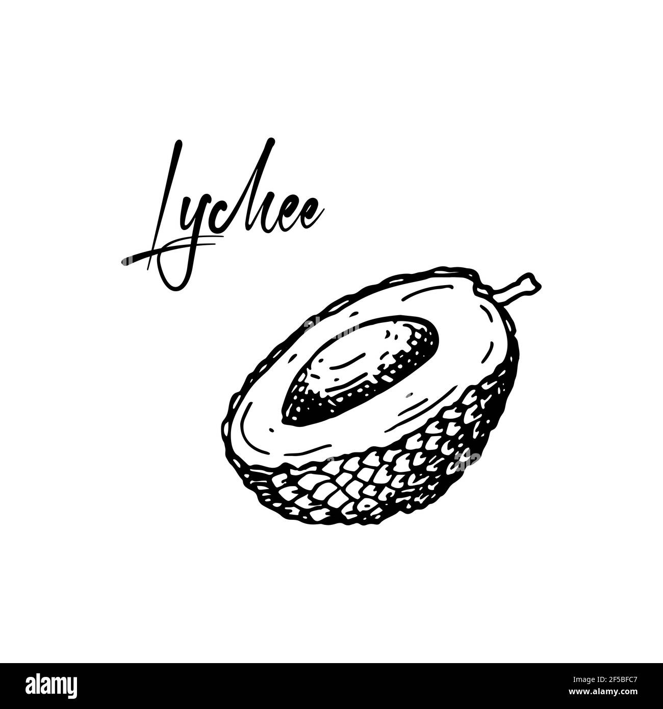 Fruit line drawing hi-res stock photography and images - Alamy