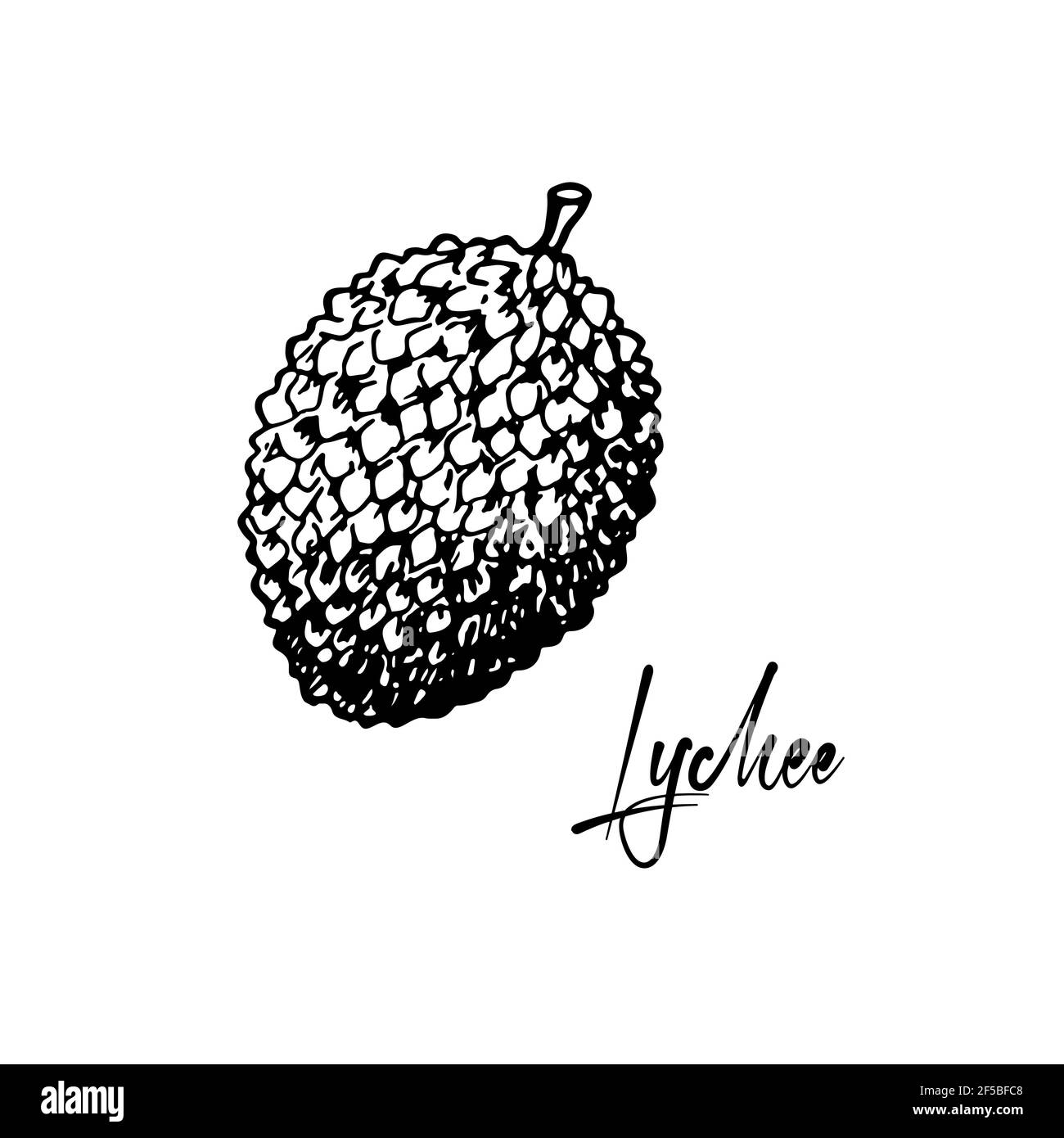 Fruit line drawing hi-res stock photography and images - Alamy