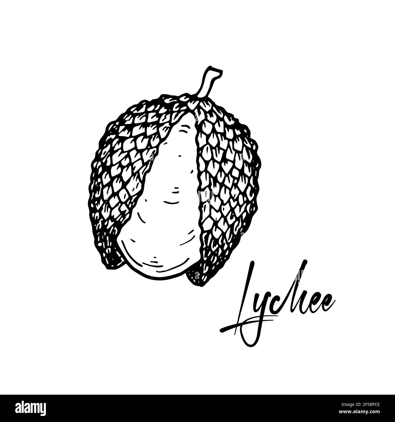 Fruit line drawing hi-res stock photography and images - Alamy