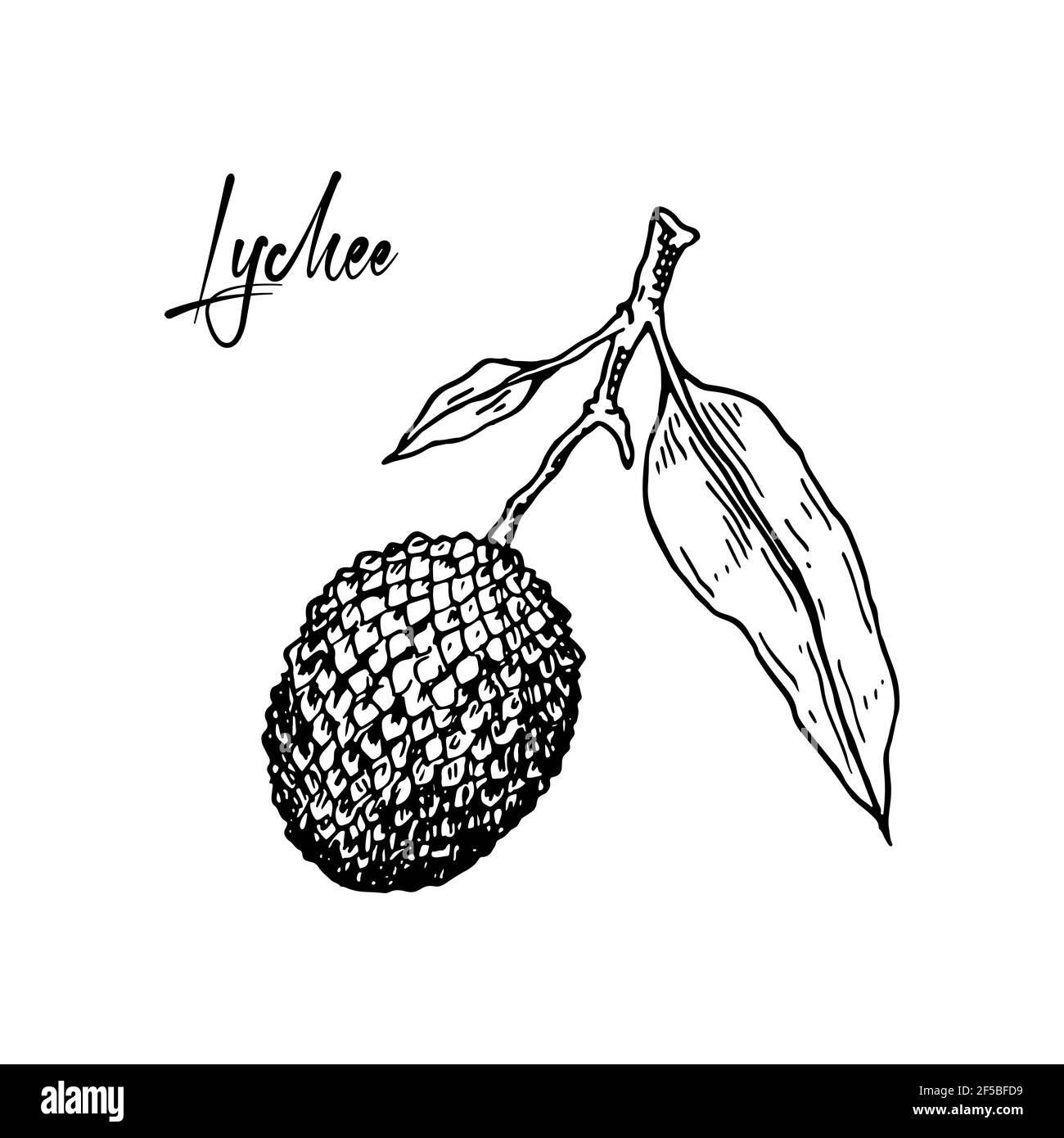 Lychee litchi chinensis fruit Black and White Stock Photos & Images - Alamy