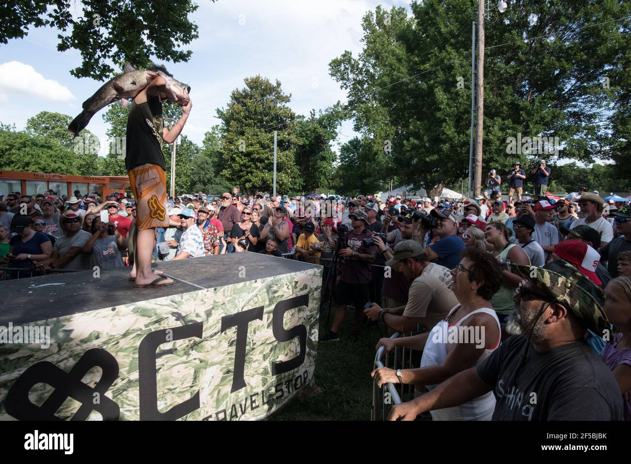 Noodling catfish hi-res stock photography and images - Alamy