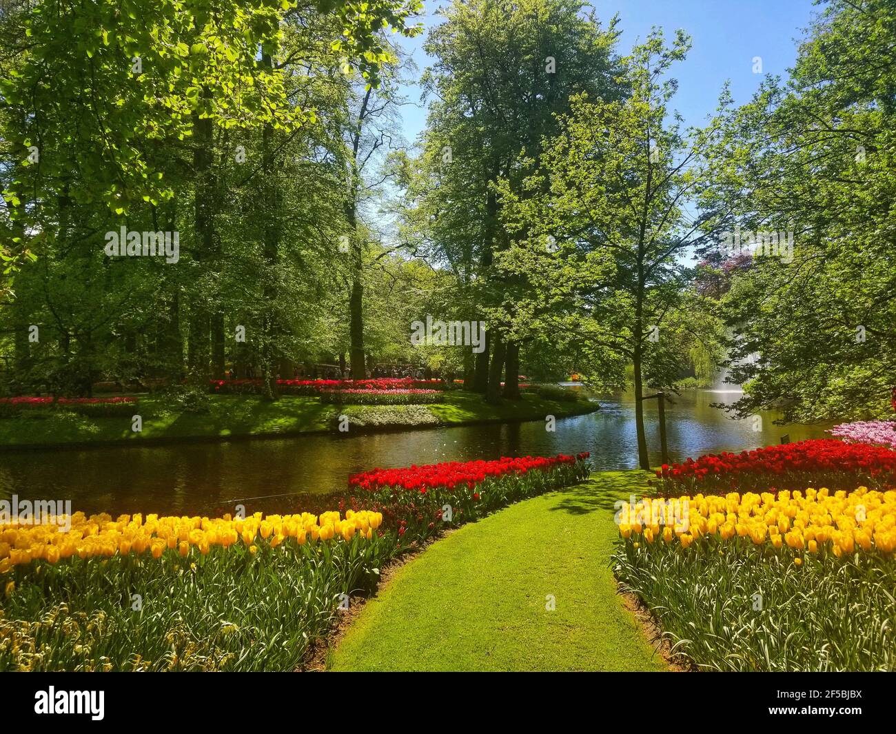 Keukenhof gardens lake hi-res stock photography and images - Alamy