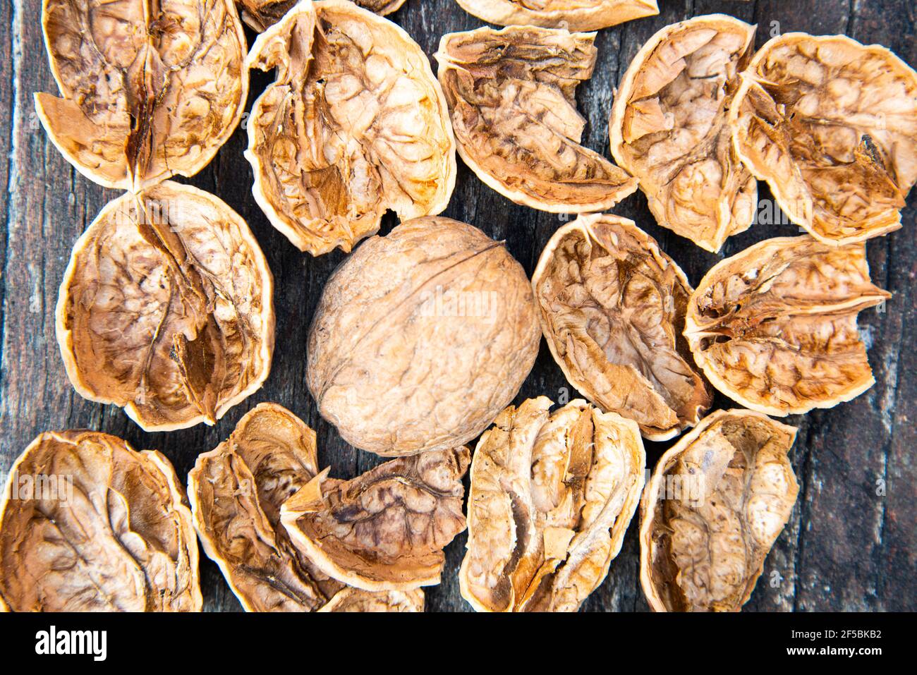 Walnut sheels hi-res stock photography and images - Alamy
