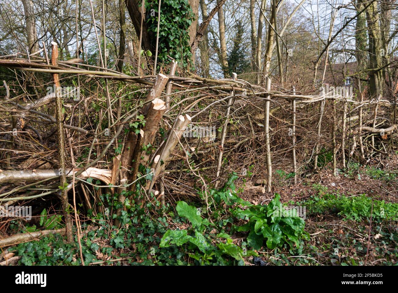 Laying on fencing hi-res stock photography and images - Alamy