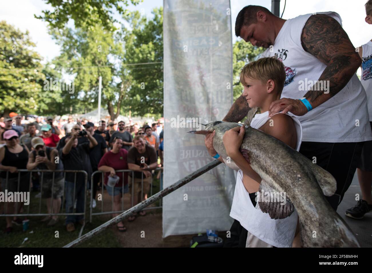 Noodling catfish hi-res stock photography and images - Alamy