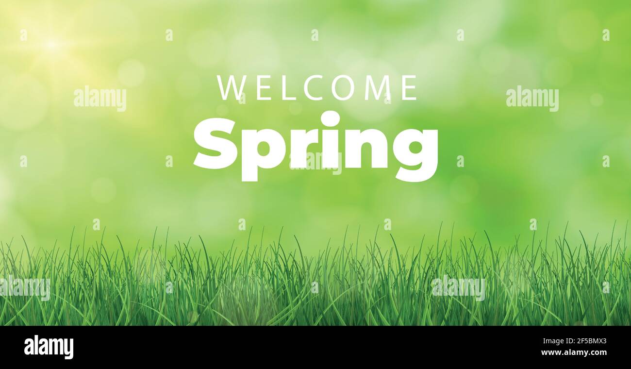 Welcome spring bright sunny background poster - Vector illustration ...