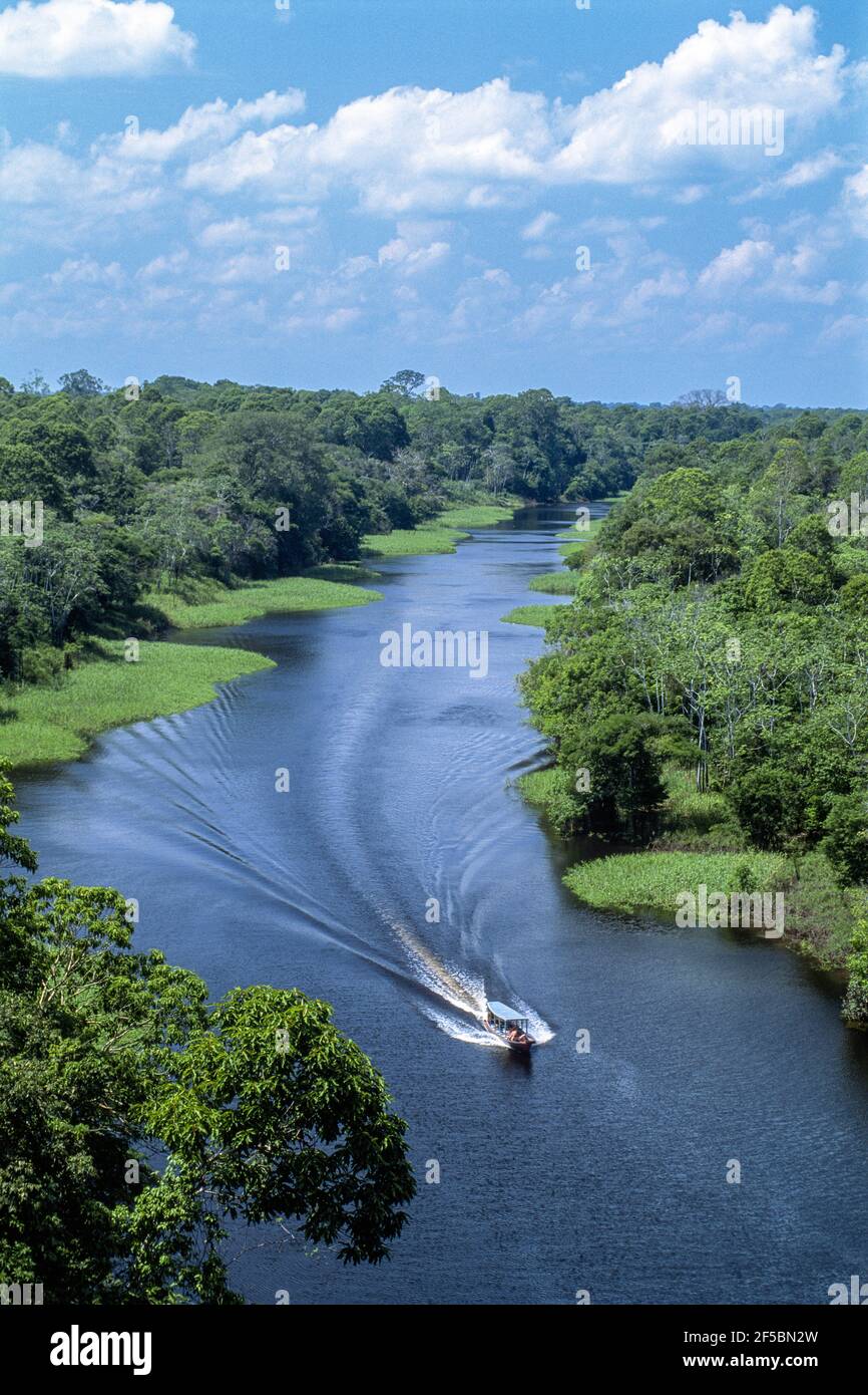 Amazon river tributary hi-res stock photography and images - Alamy