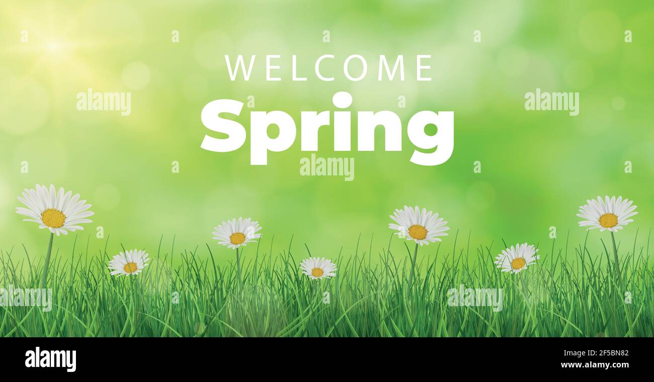 Welcome spring bright sunny background poster - Vector illustration ...