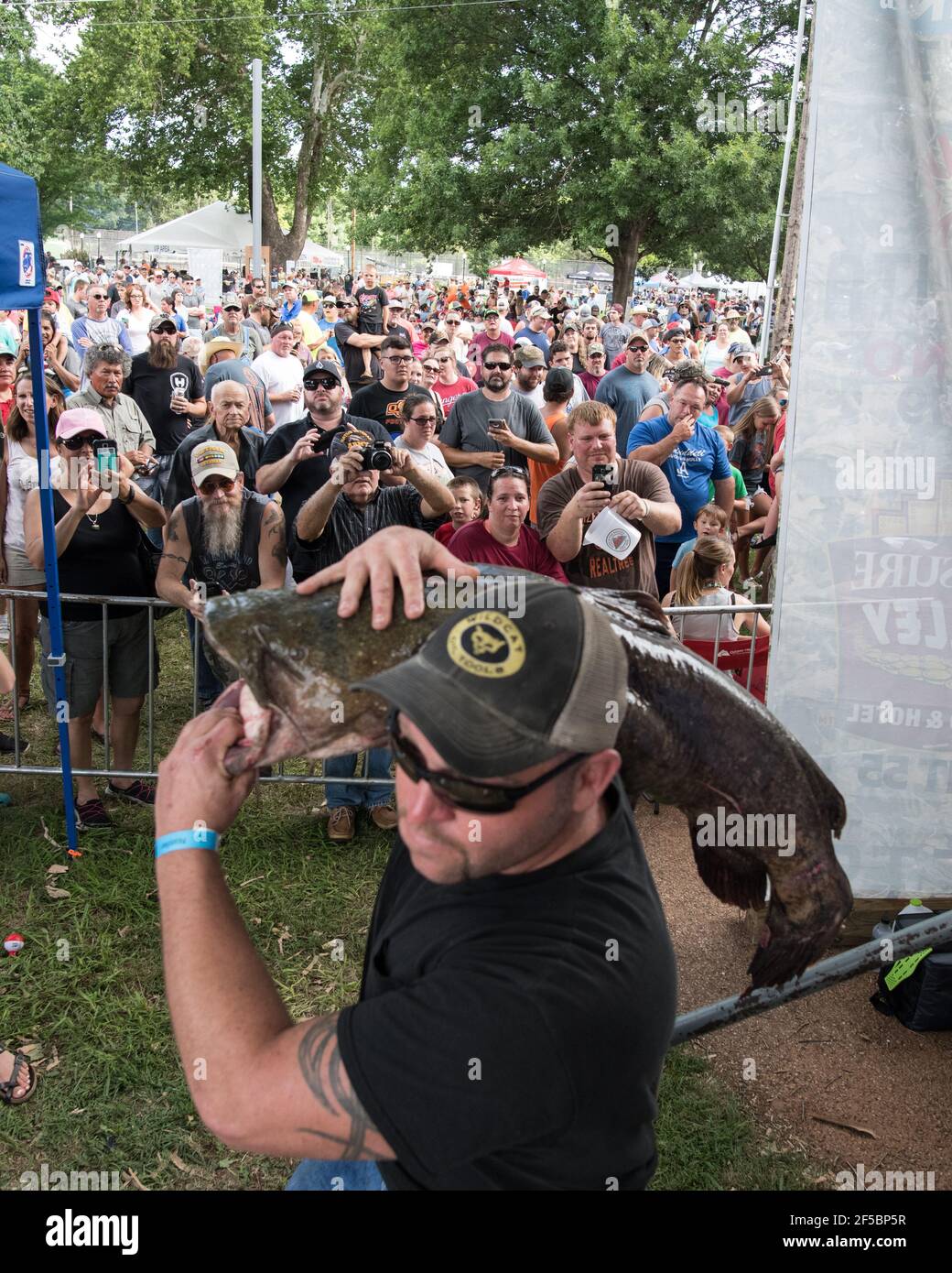 A triumphant noodler proudly displays his catfish to a cheering crowd ...