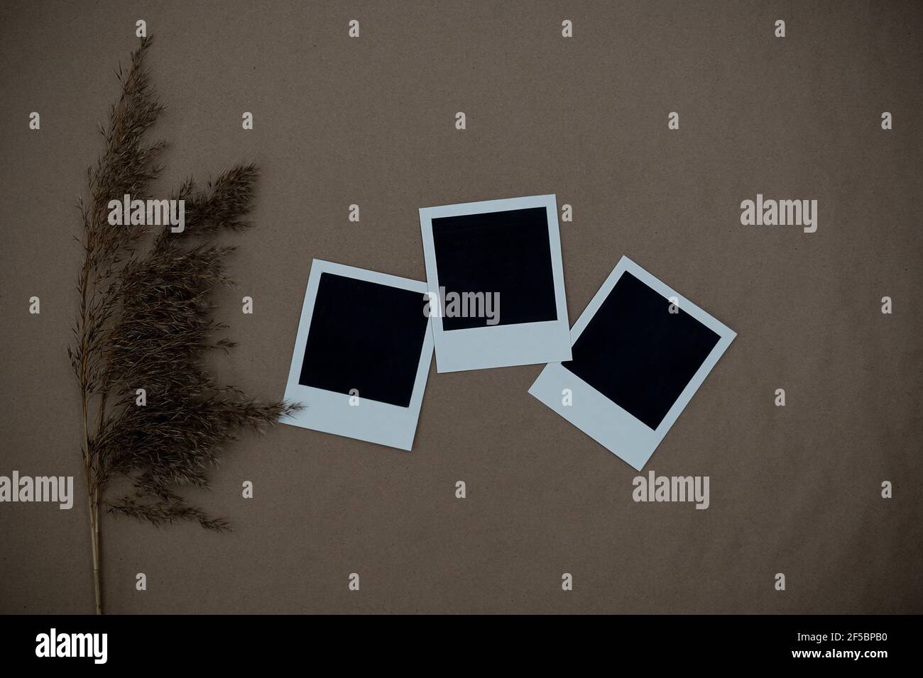 three Polaroid photos on craft paper. Photo card with space for your ...