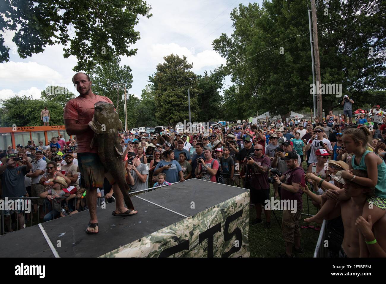 Noodling catfish hi-res stock photography and images - Alamy