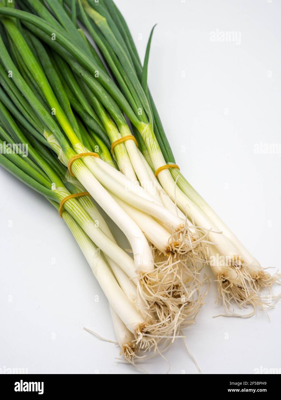 Vertical shot of fresh welsh onions on a gray surface under the lights ...