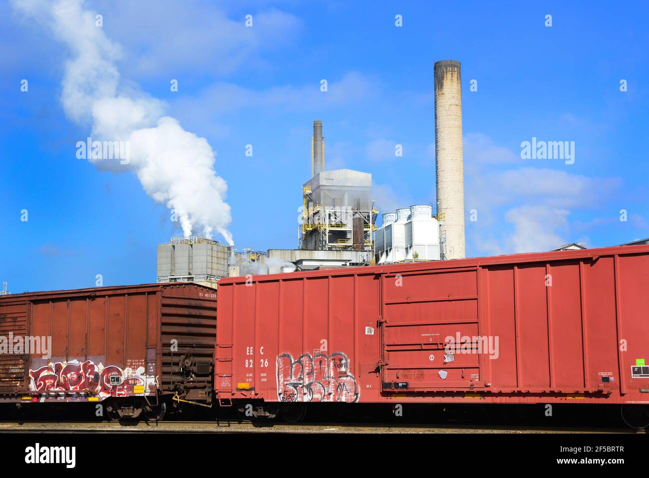 Pulp mill pollution hi-res stock photography and images - Alamy