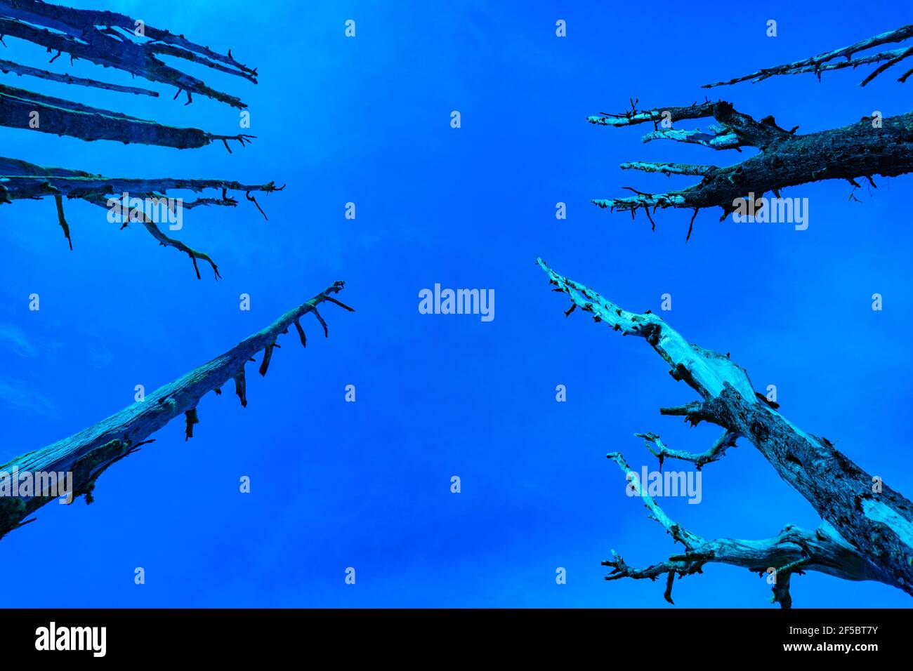 Ghostly appearance hi-res stock photography and images - Alamy