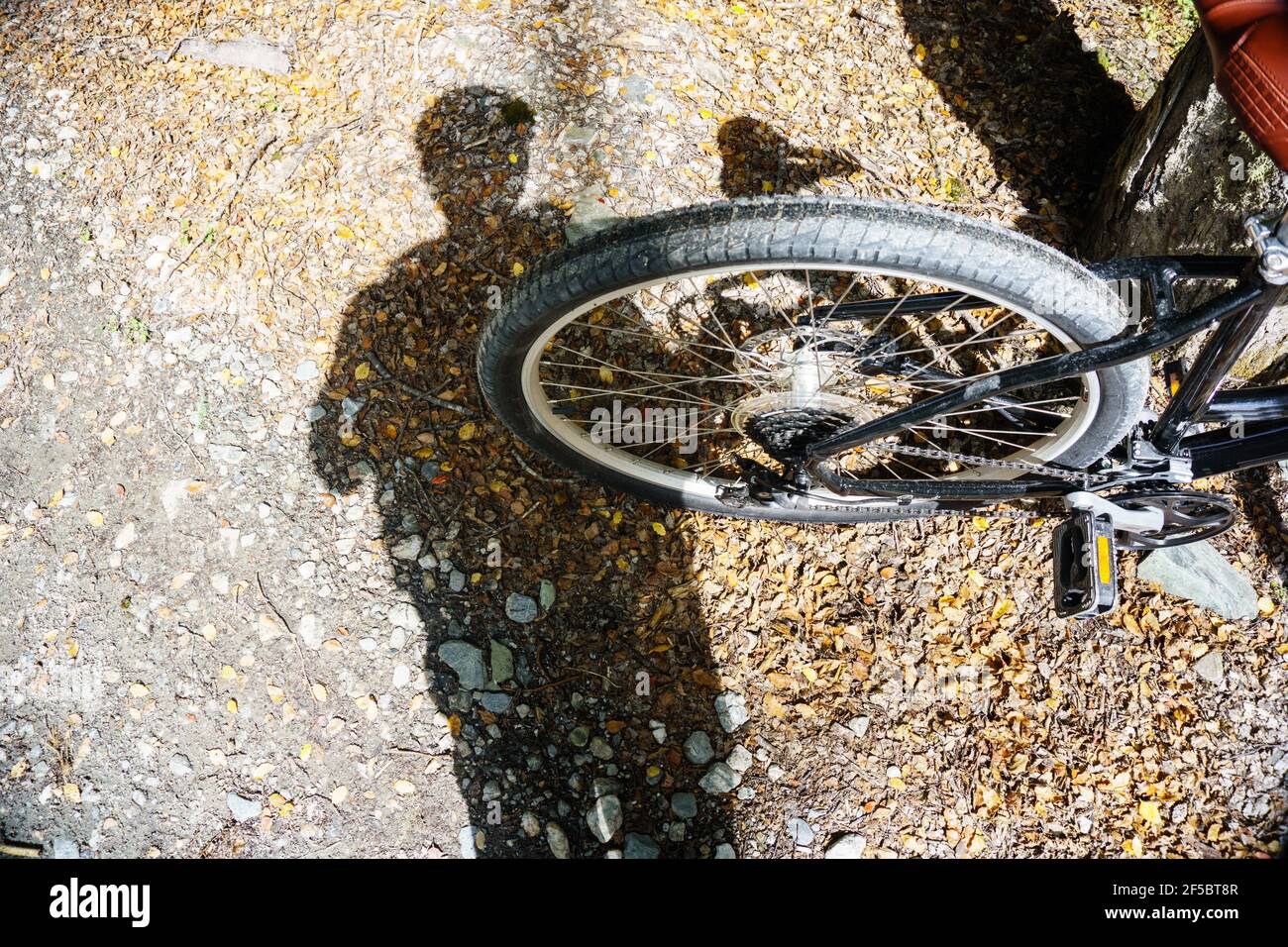 Shadow of cyclist by back wheel of bike with focus on shadow Stock ...