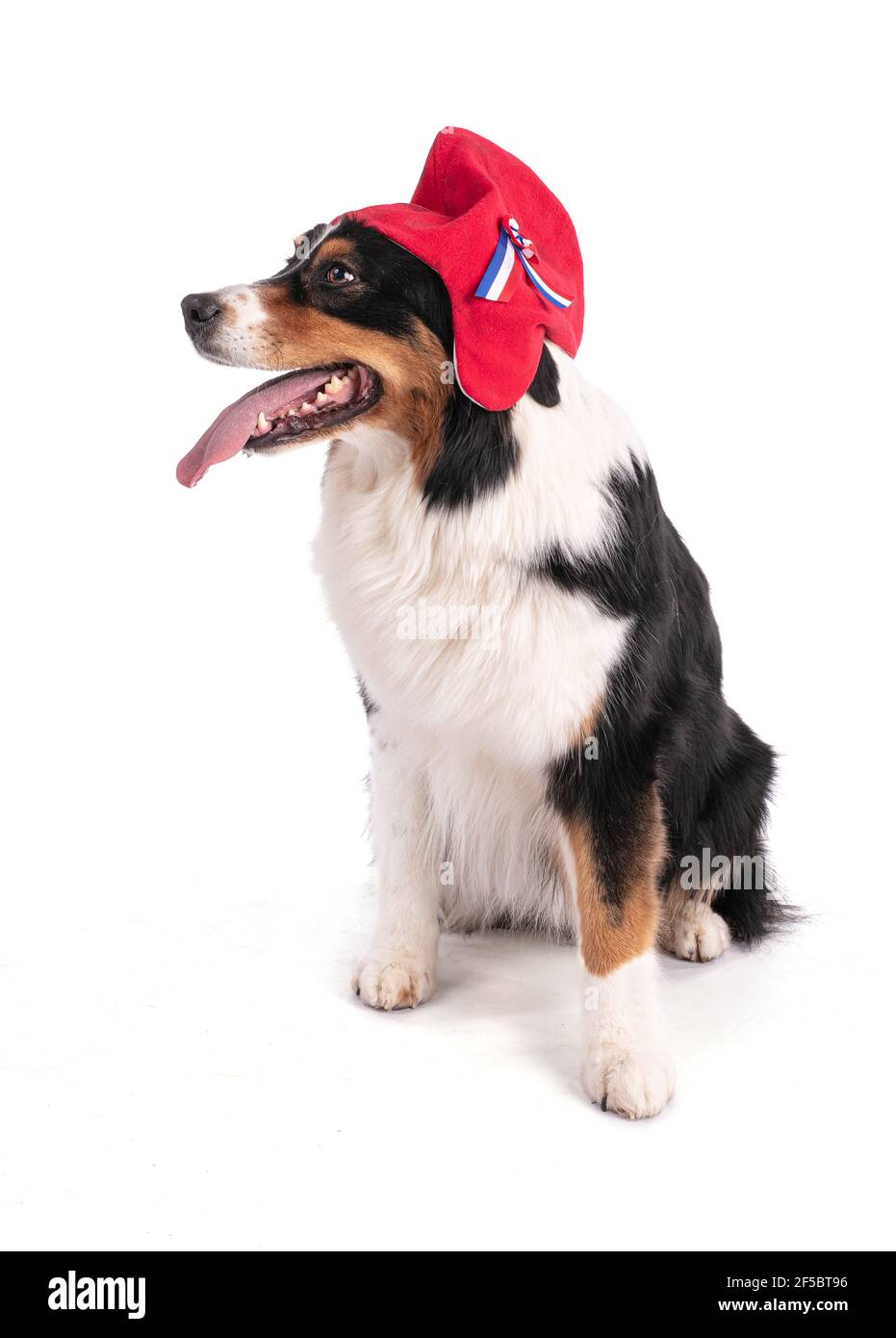 Shepherd with a cap Cut Out Stock Images & Pictures - Alamy