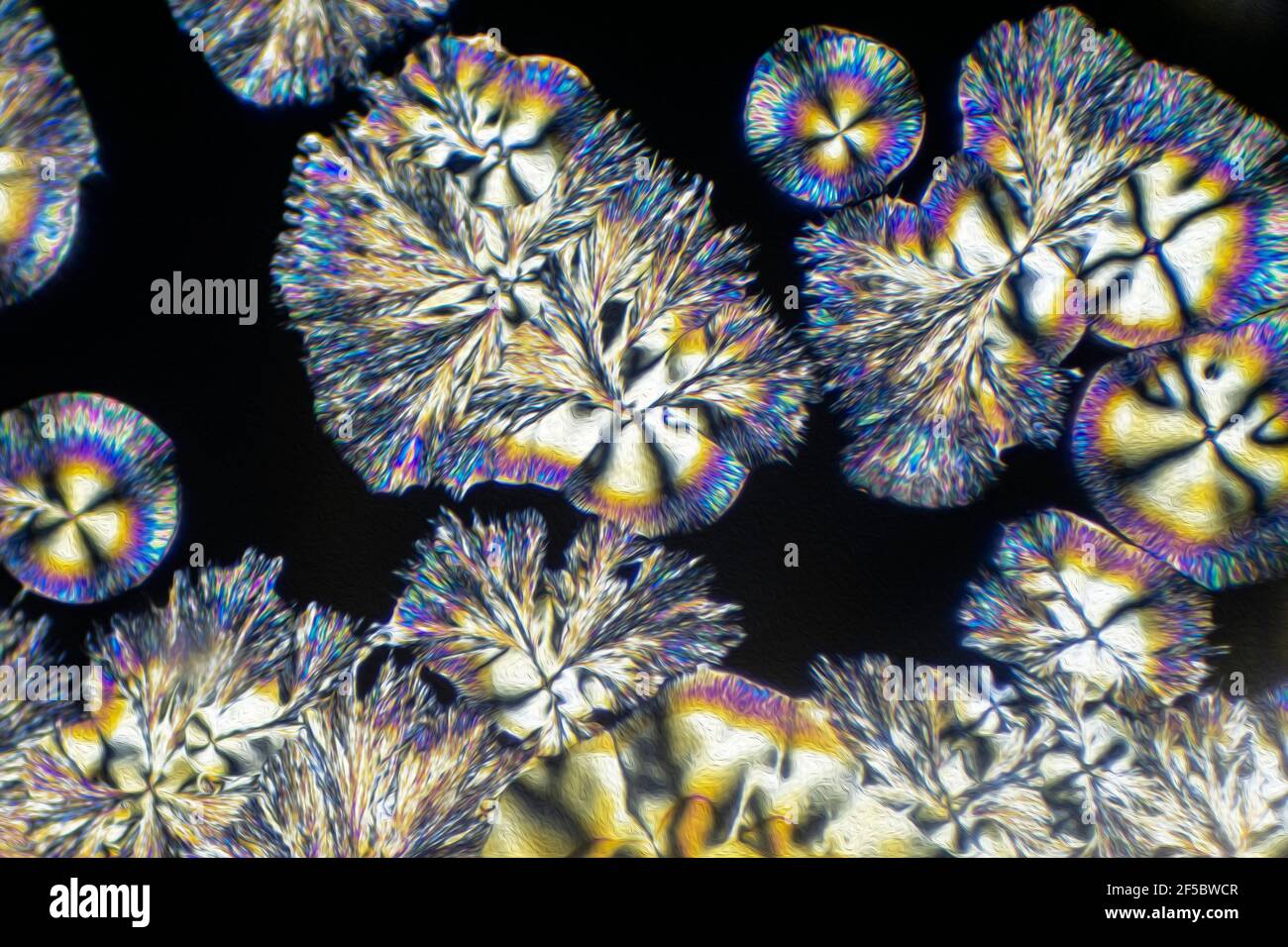Polarizing microscope hi-res stock photography and images - Alamy