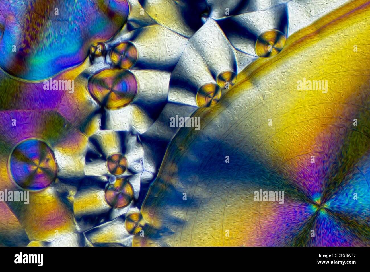 Polarizing microscope hi-res stock photography and images - Alamy