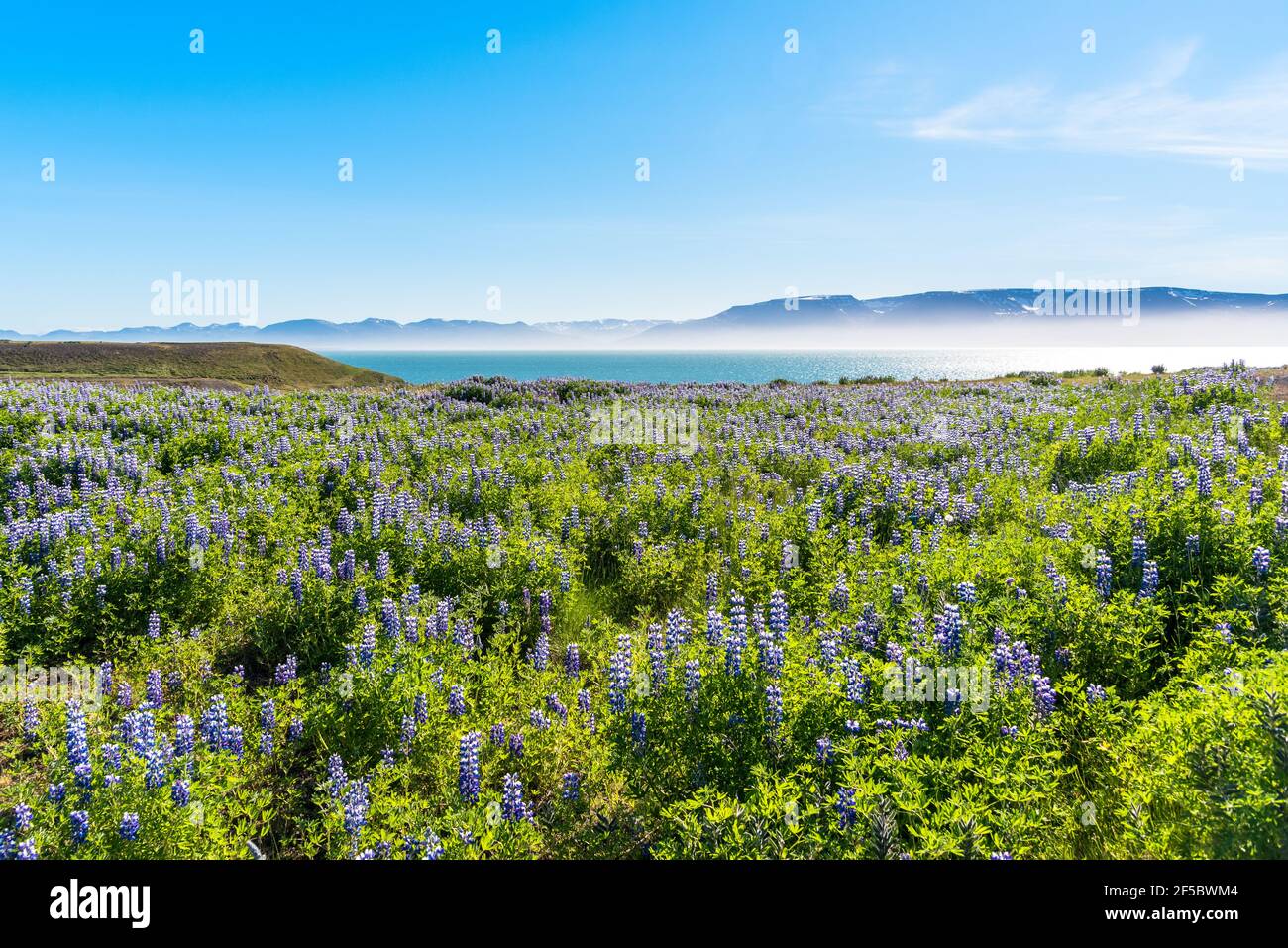Partly covered hi-res stock photography and images - Alamy